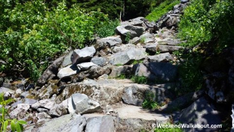 Comet Falls - Mt Rainier National Park • Weekend Walkabout